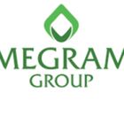 CÔNG TY CỔ PHẦN MEGRAM