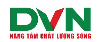 CÔNG TY CỔ PHẦN TẬP ĐOÀN DVN VIỆT NAM