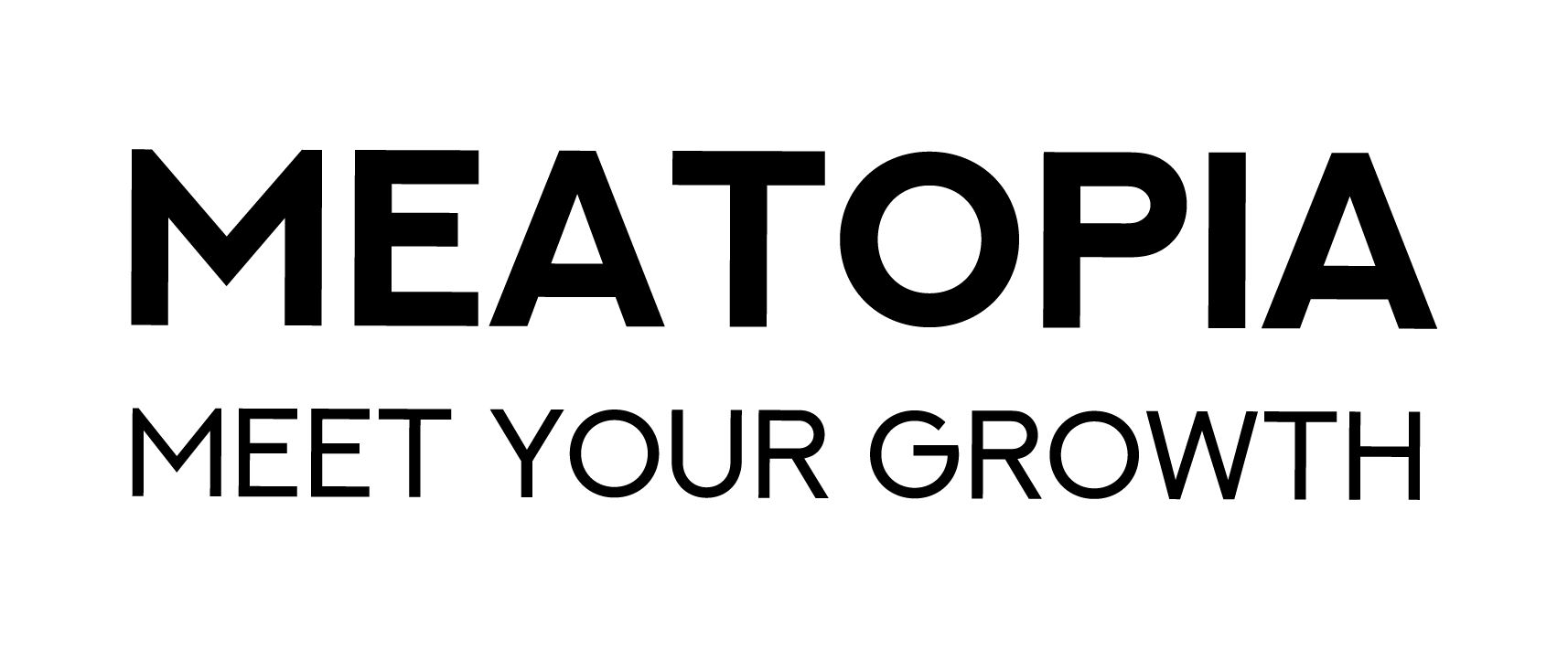 METOPIA COMPANY LIMITED