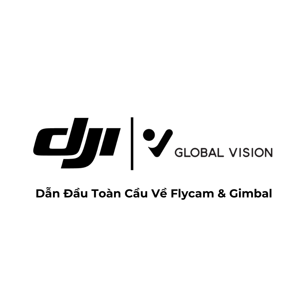 GLOBAL VISION TECHNOLOGIES COMPANY LIMITED