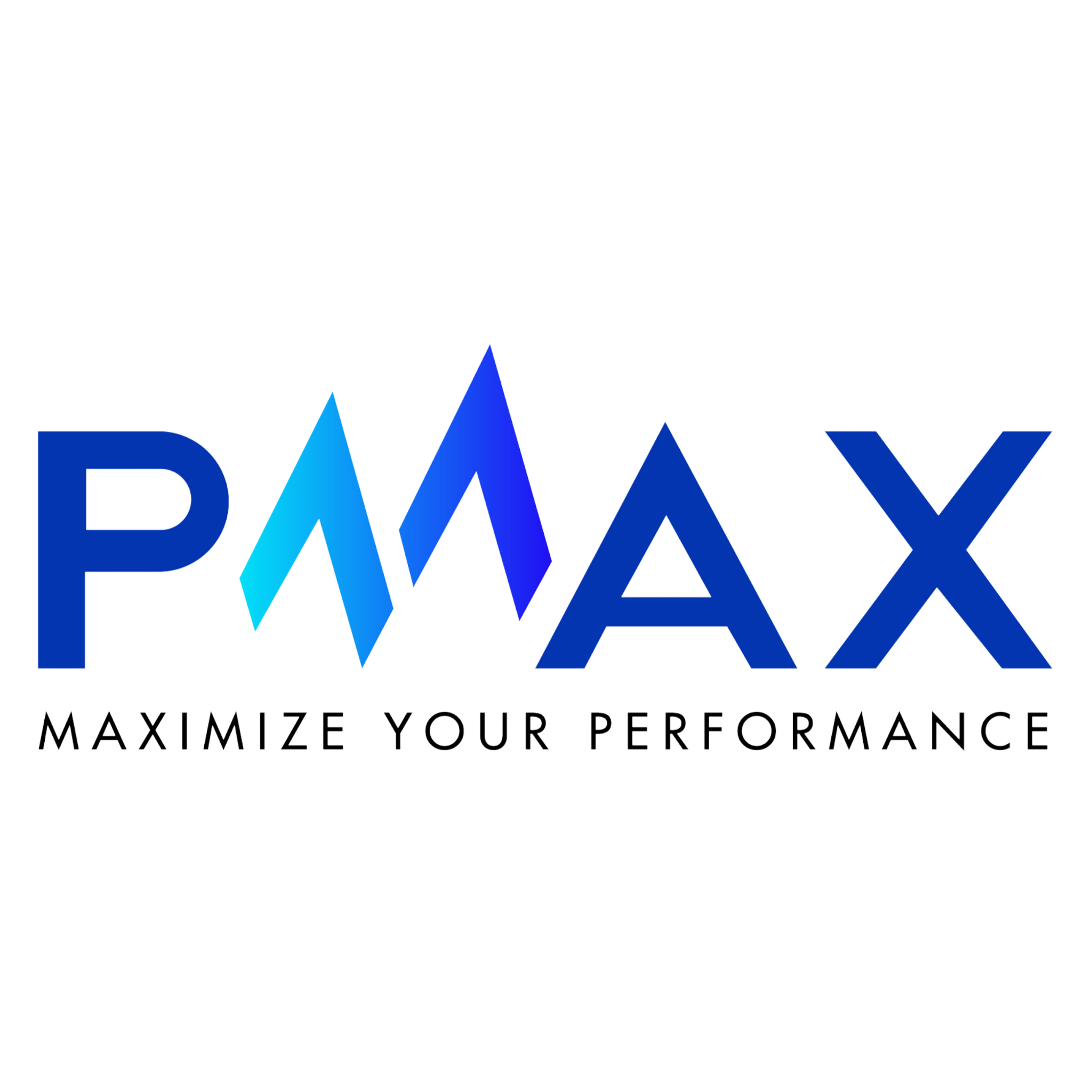 Công ty cổ phần Pmax