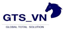 CÔNG TY TNHH GTS VIỆT NAM