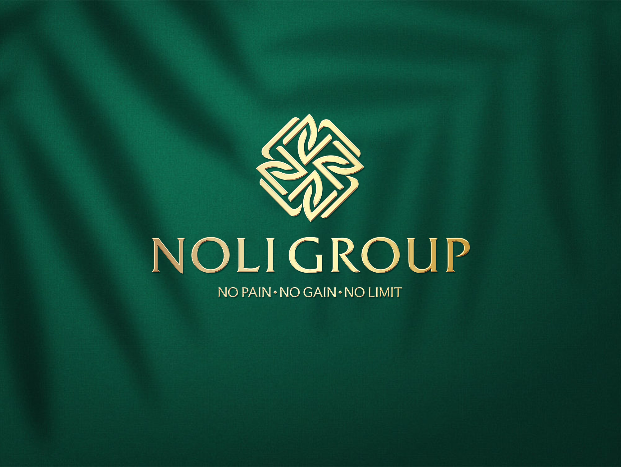 CÔNG TY TNHH NOLI GROUP