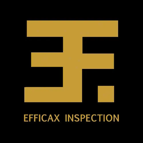 VPĐD Efficax Fidelis Pte. Ltd. tại Tp.HCM