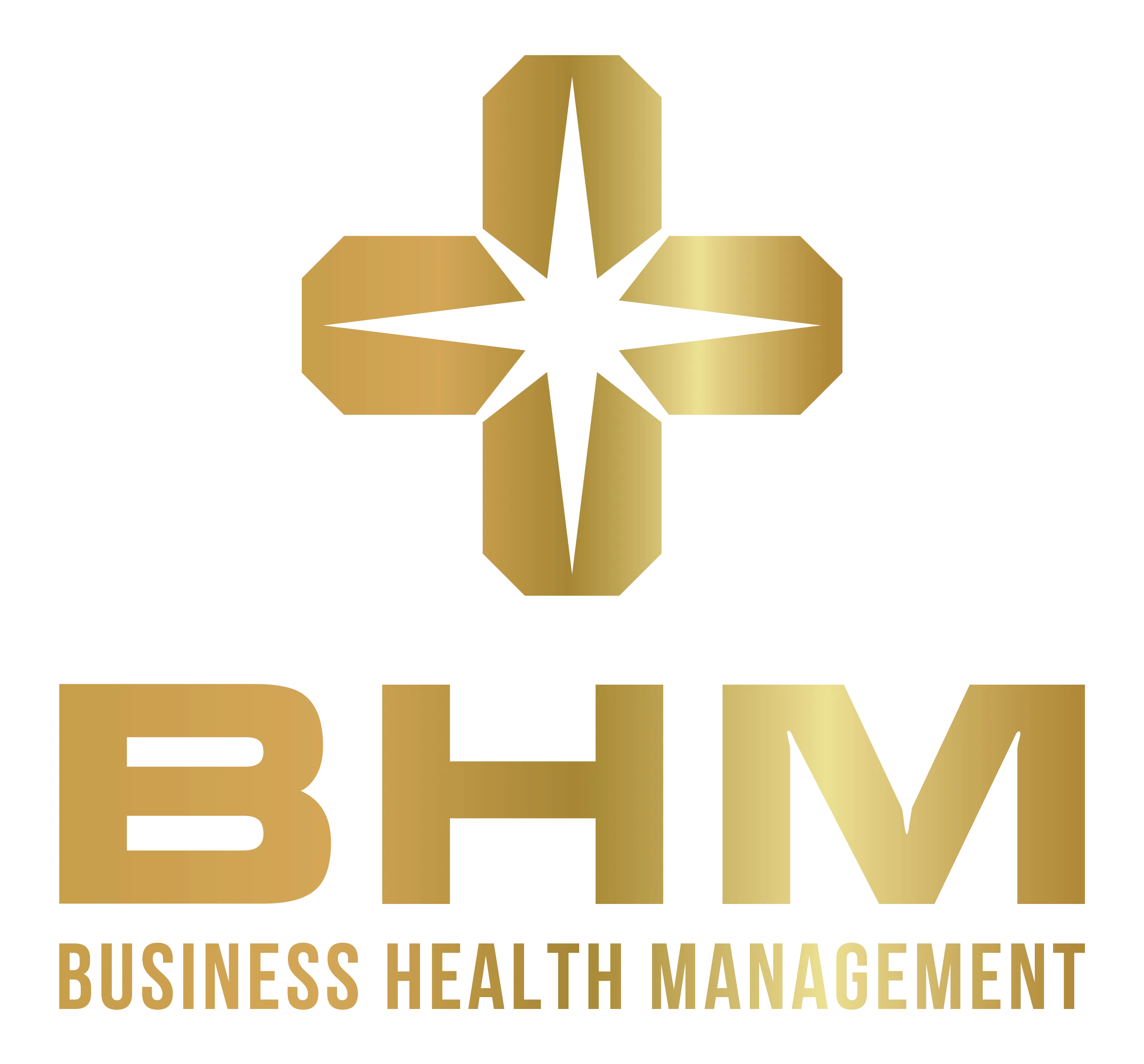 CÔNG TY CỔ PHẦN TƯ VẤN TÁI CẤU TRÚC BHM