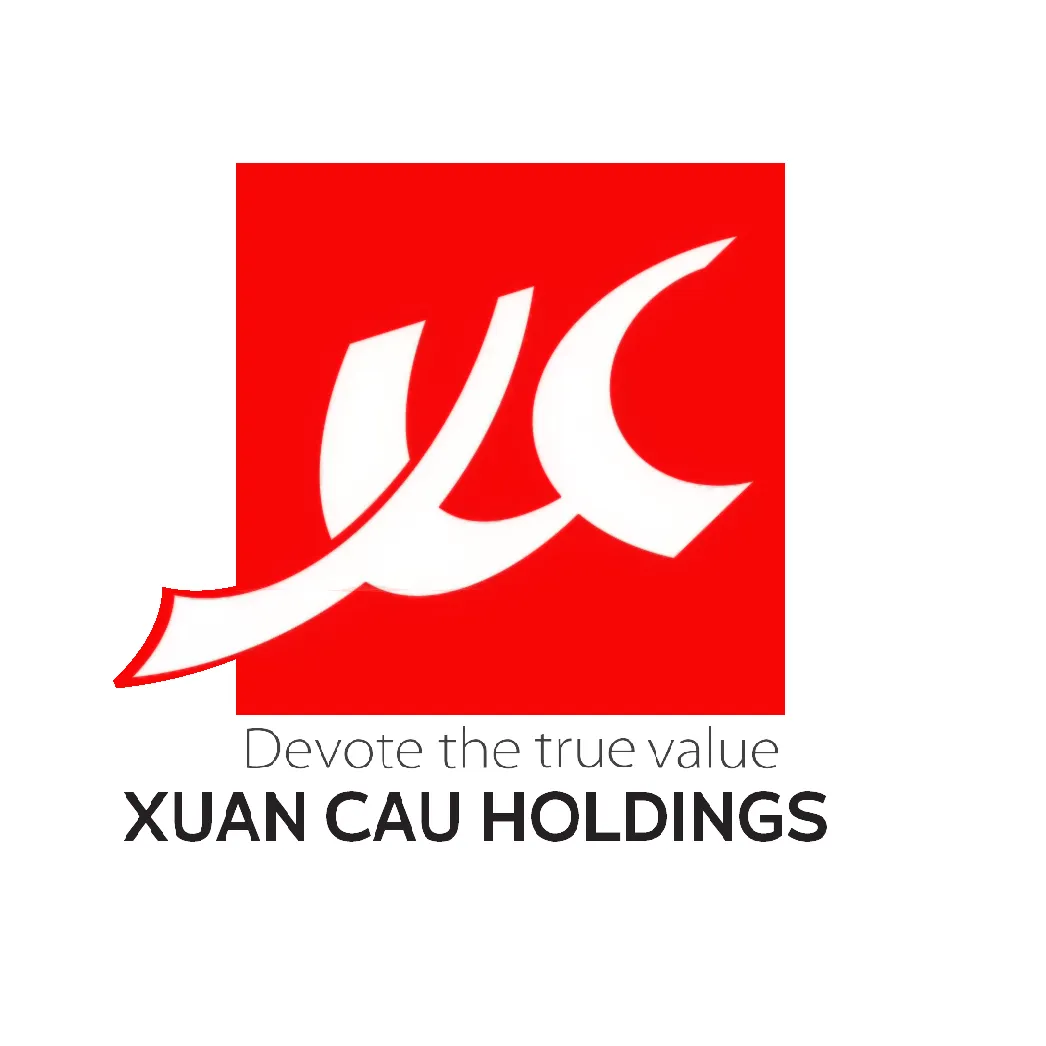 Công ty Cổ phần Xuân Cầu Holdings