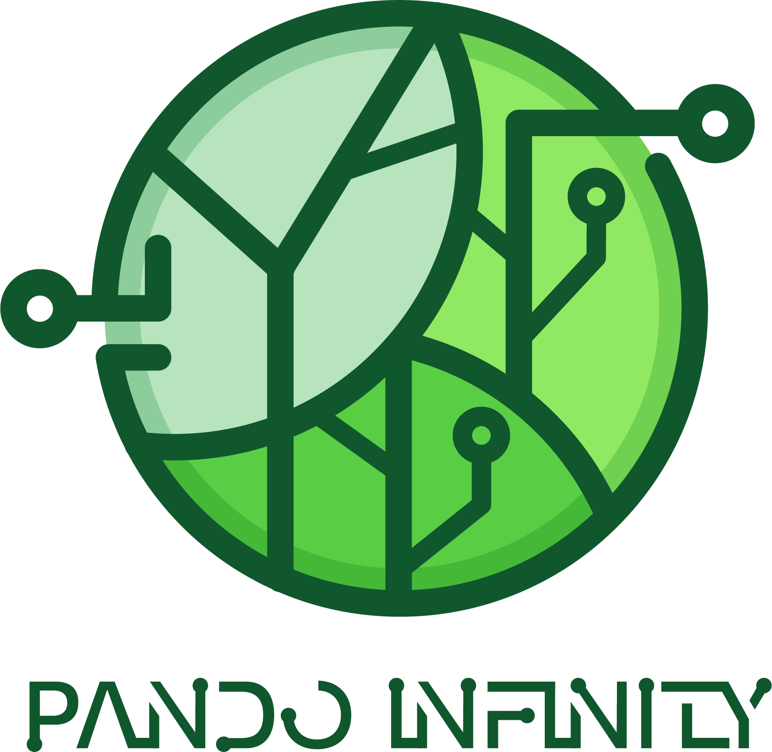 Công ty Cổ phần Pando Infinity