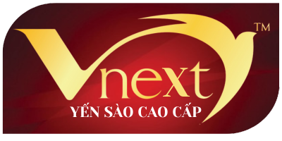 CÔNG TY TNHH VNEXT TRADING GLOBAL