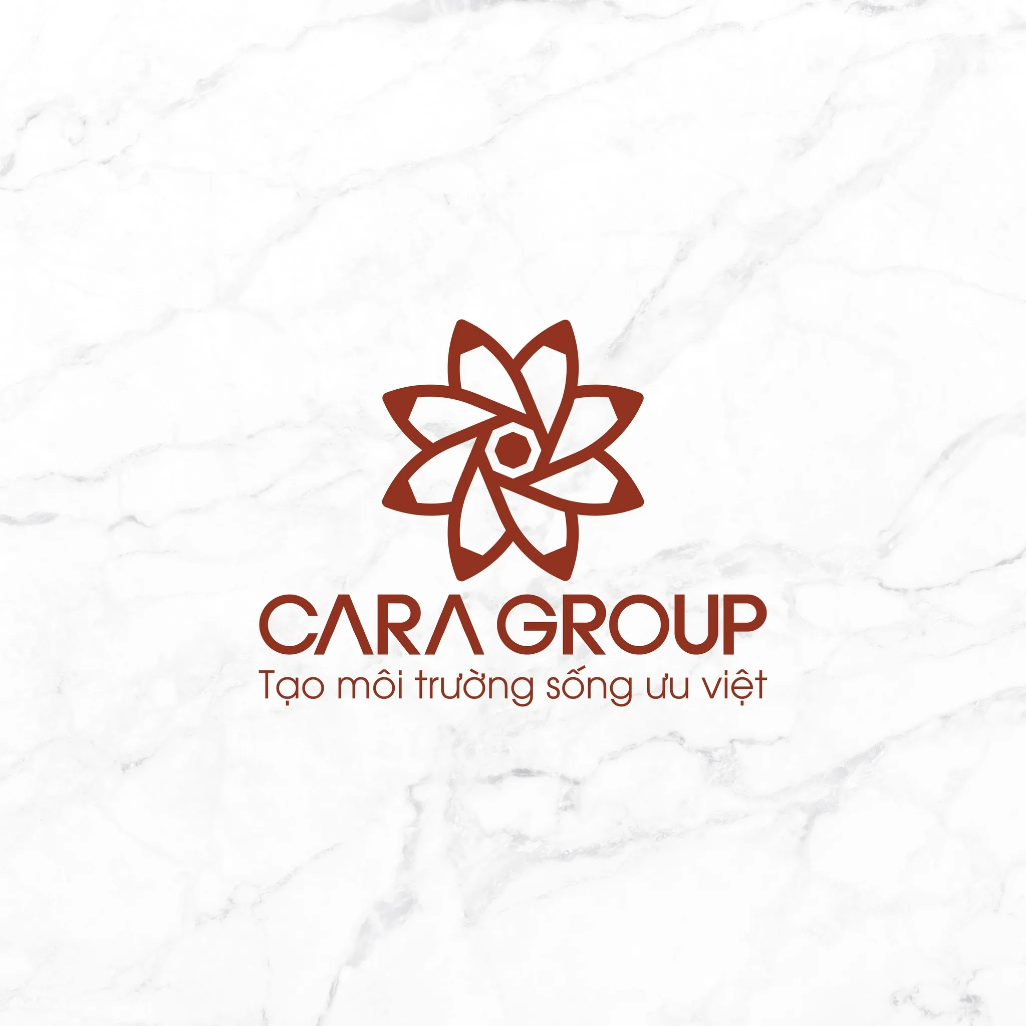 CÔNG TY CỔ PHẦN CARA GROUP