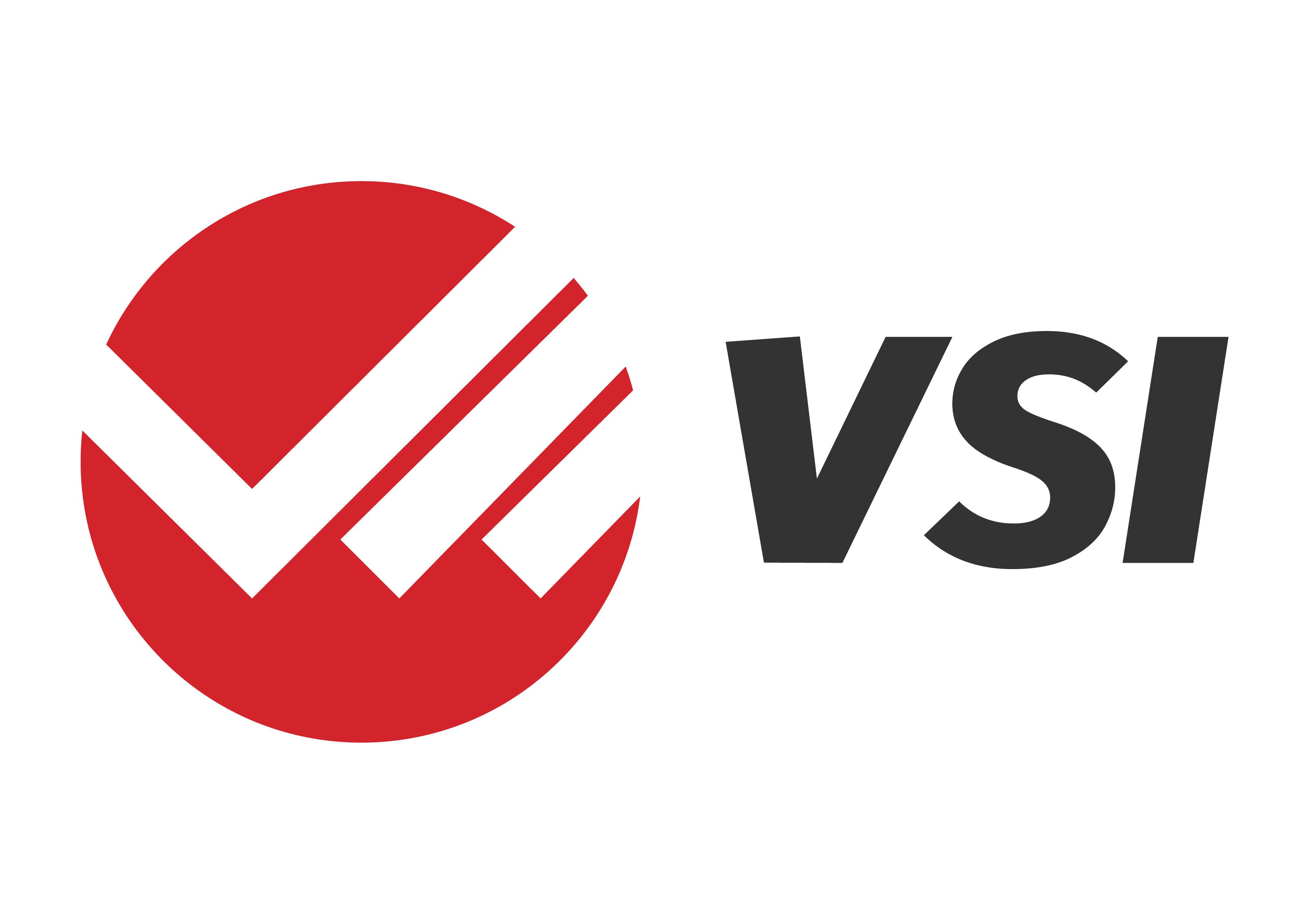 Công ty Cổ phần VSI