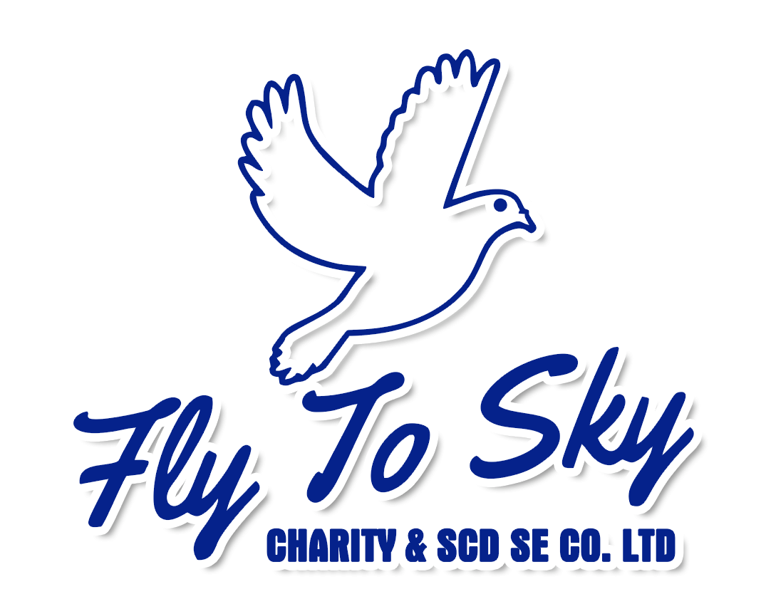 CÔNG TY TNHH DOANH NGHIỆP XÃ HỘI TỪ THIỆN VÀ HỖ TRỢ PHÁT TRIỂN CỘNG ĐỒNG FLY TO SKY