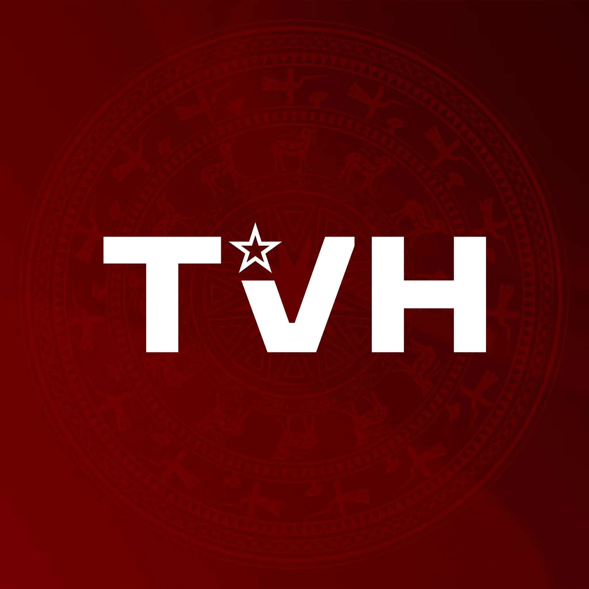 CÔNG TY TNHH TRUYỀN THÔNG VÀ GIẢI TRÍ TVH MEDIA