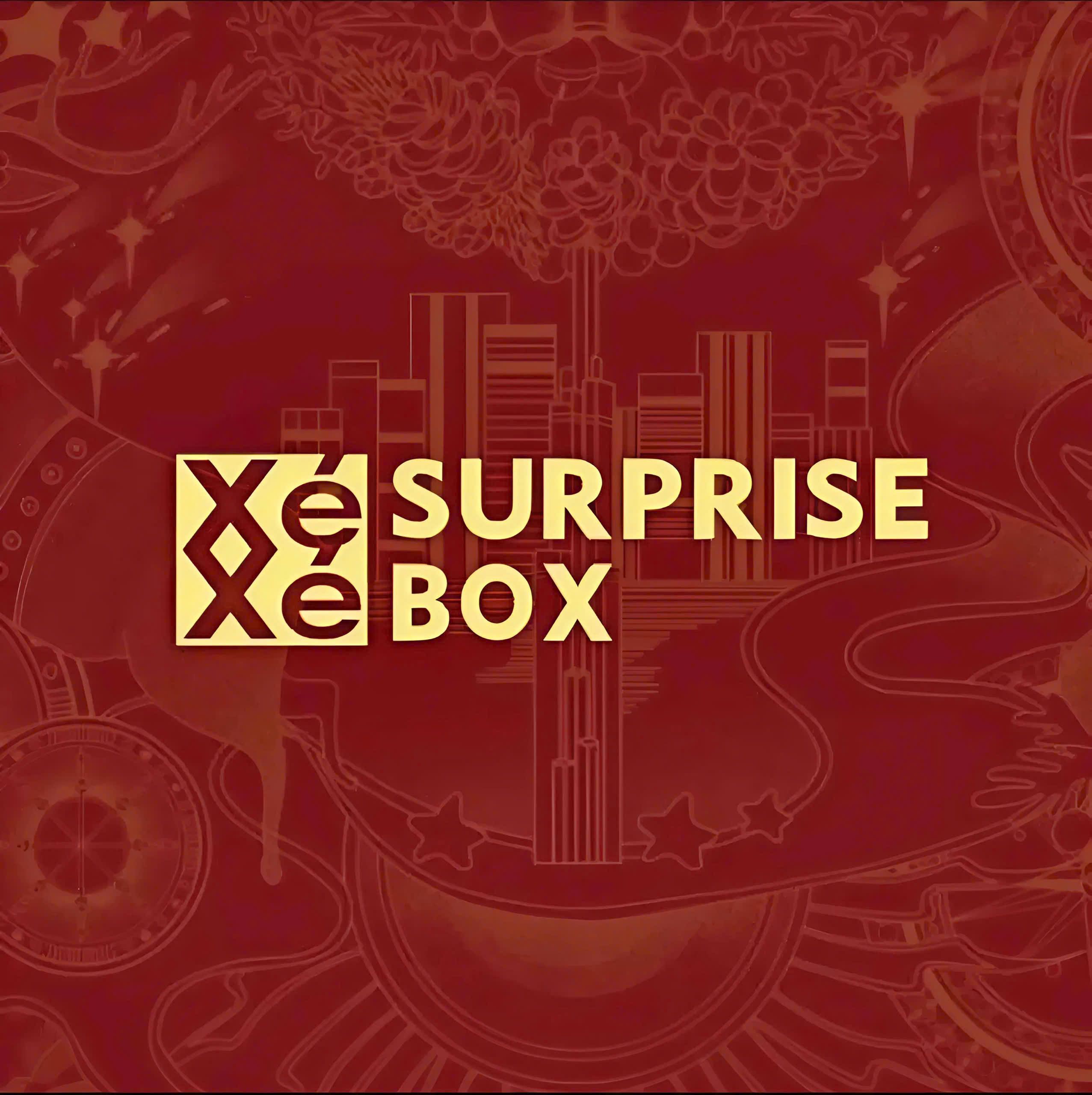 CÔNG TY TNHH XÉXÉ SURPRISE E-COMMERCE