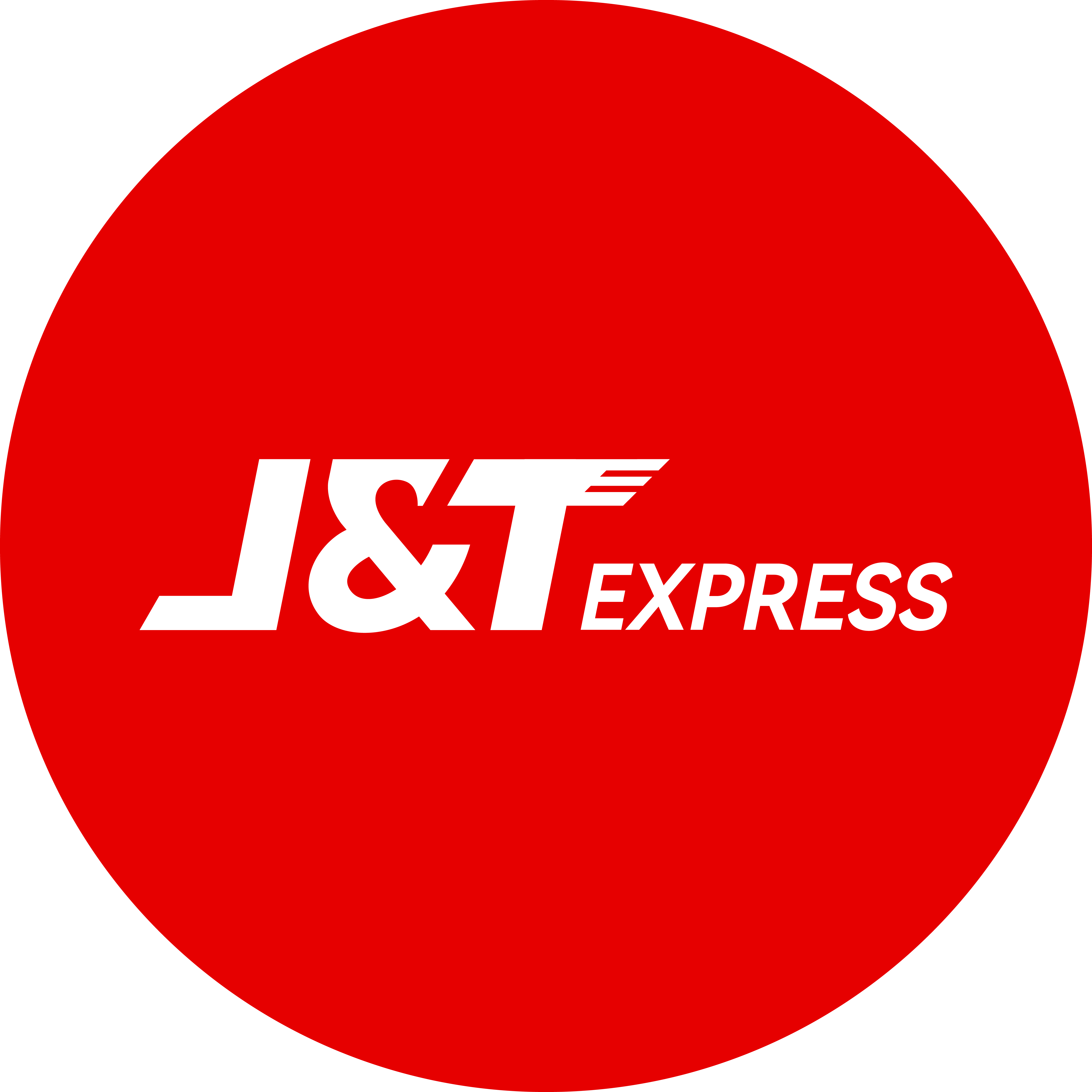 CÔNG TY TNHH MTV CHUYỂN PHÁT NHANH THUẬN PHONG - CN TP HỒ CHÍ MINH (J&T EXPRESS)