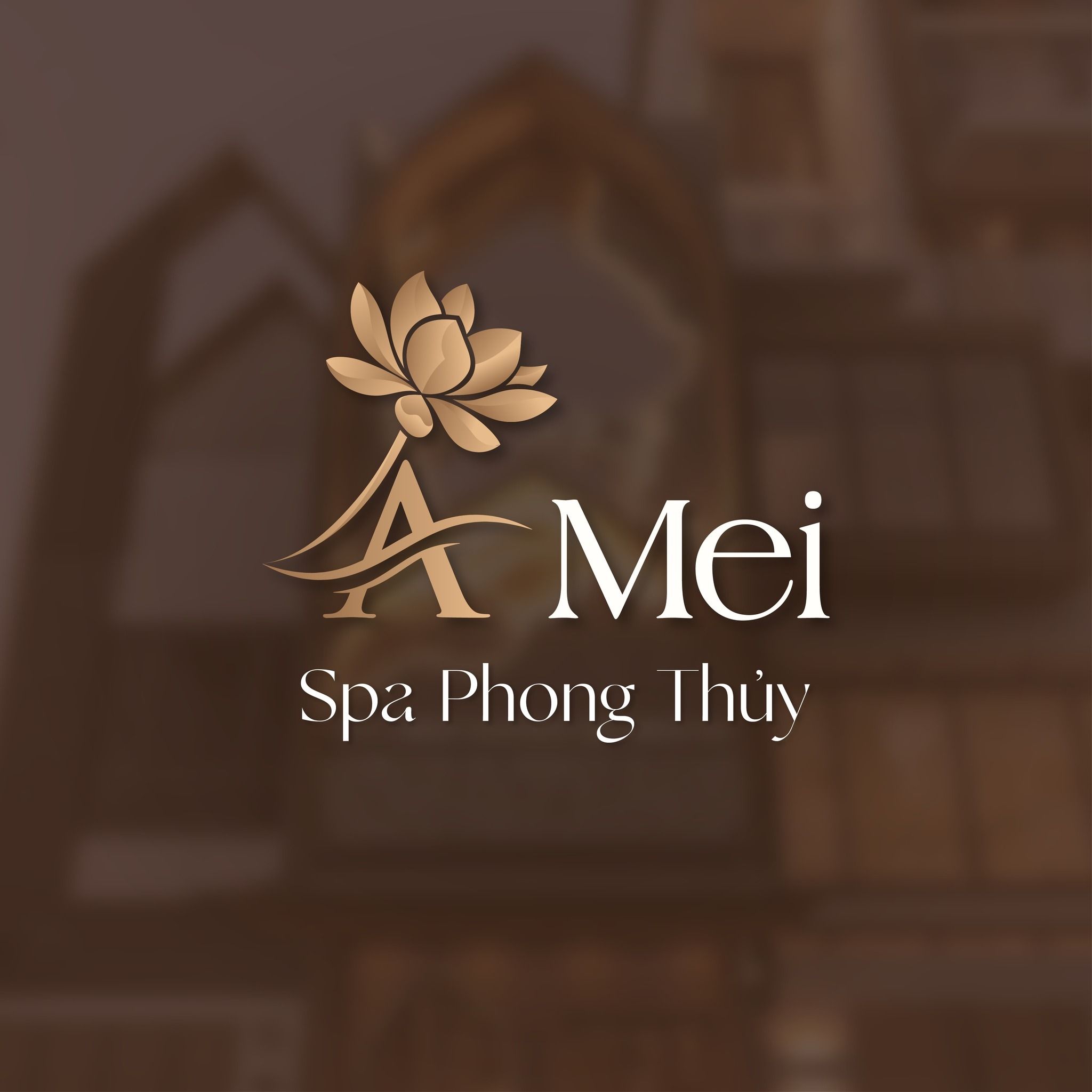 CÔNG TY TNHH THƯƠNG MẠI & DỊCH VỤ A MEI SPA
