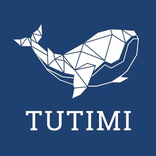 Công ty Cổ phần TTMI