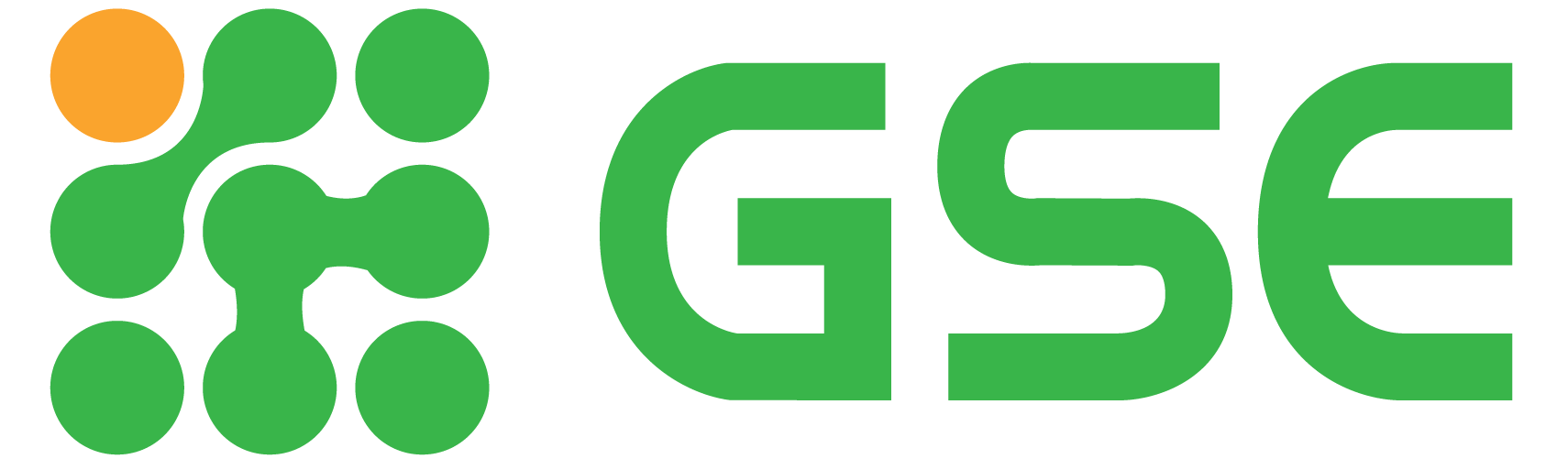 Global Education Services Company Limited (GSE)