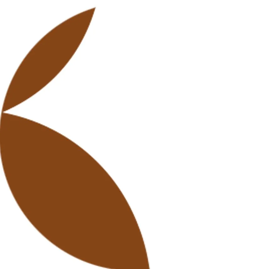 CÔNG TY CỔ PHẦN THE BLOOM