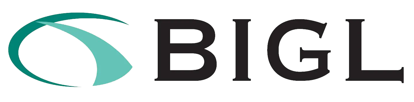 CÔNG TY TNHH BIGL VIỆT NAM