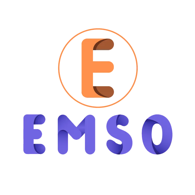 Công ty cổ phần EMSO Việt Nam